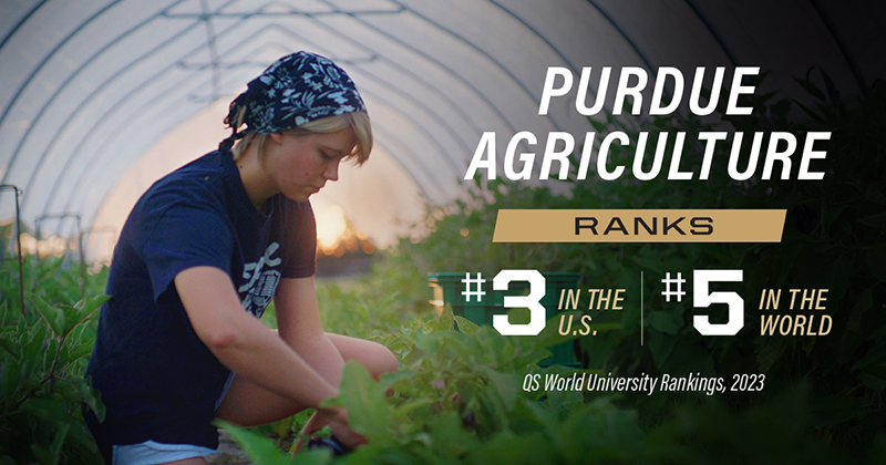 College of Agriculture - Purdue University